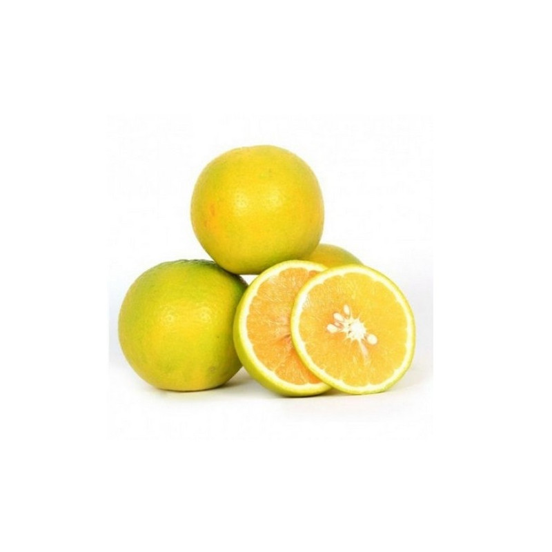 Buy Mosambi Online | Mosambi Fruit Buy Online | Mosambi Wholesale Price