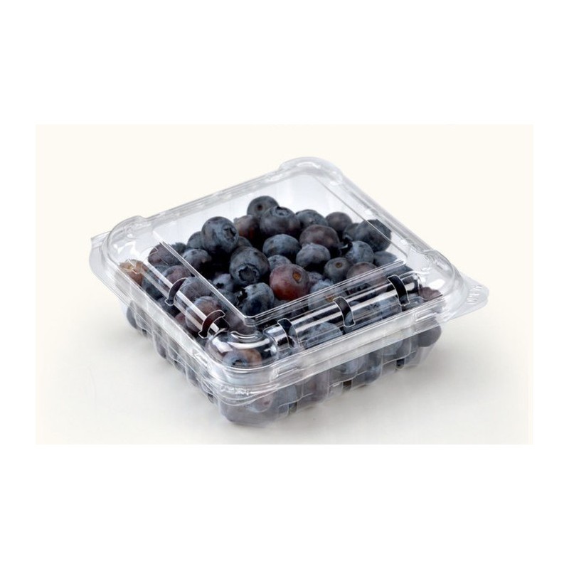 Blueberry Fruit Online Pune | 1kg Blueberry Fruit Price in Pune ...